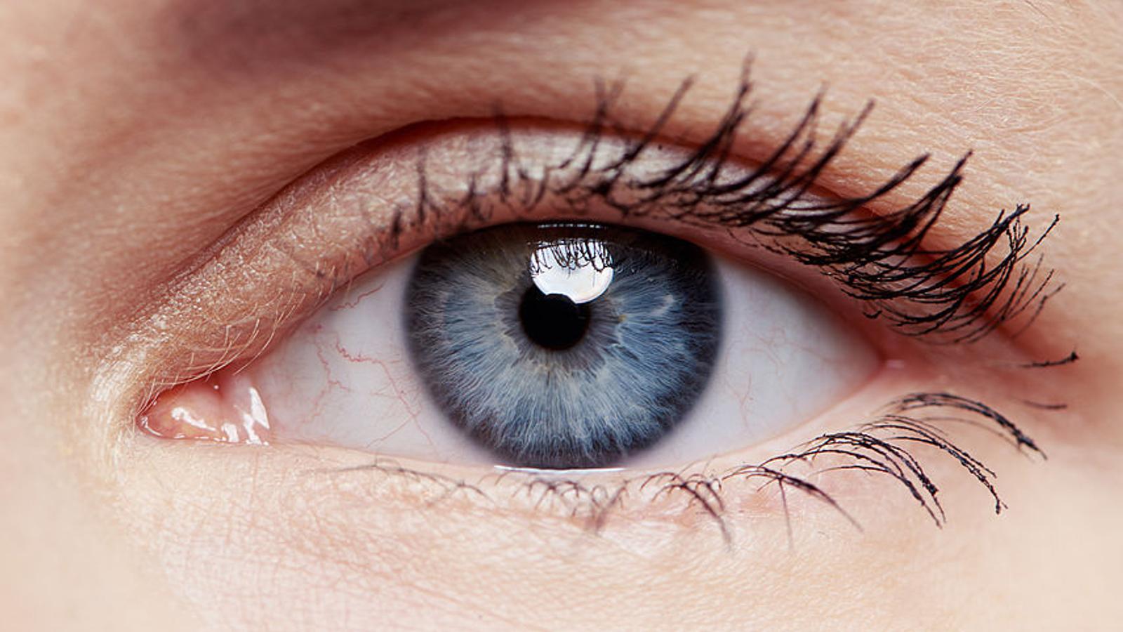 Bionisches Auge » Blinde können nach OP wieder sehen | MeinMed.at Bionisches Auge » Blinde können nach OP wieder sehen | MeinMed.at