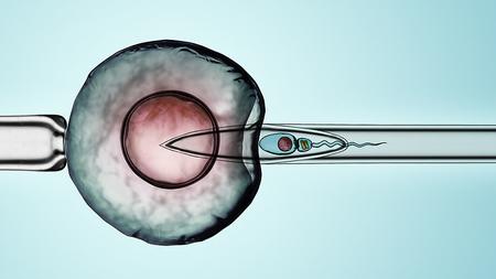Künstliche Befruchtung Österreich » Wunschkinder durch IVF | MeinMed.at